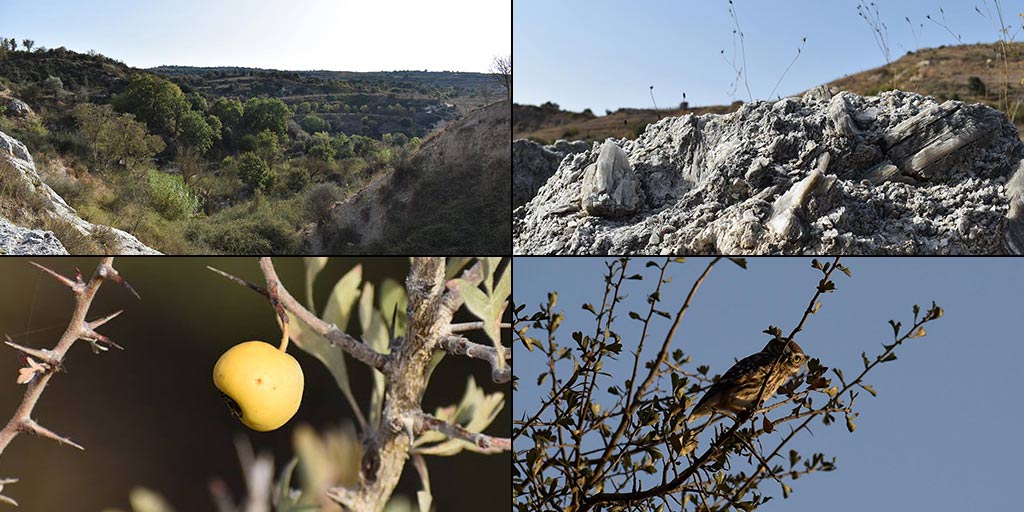 The Polemi Countryside