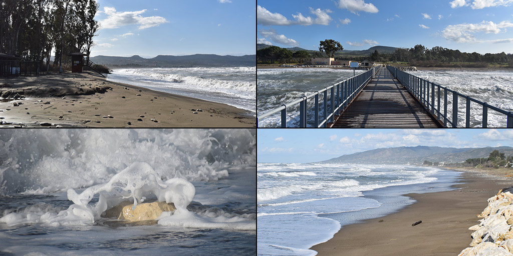 Polis Surf