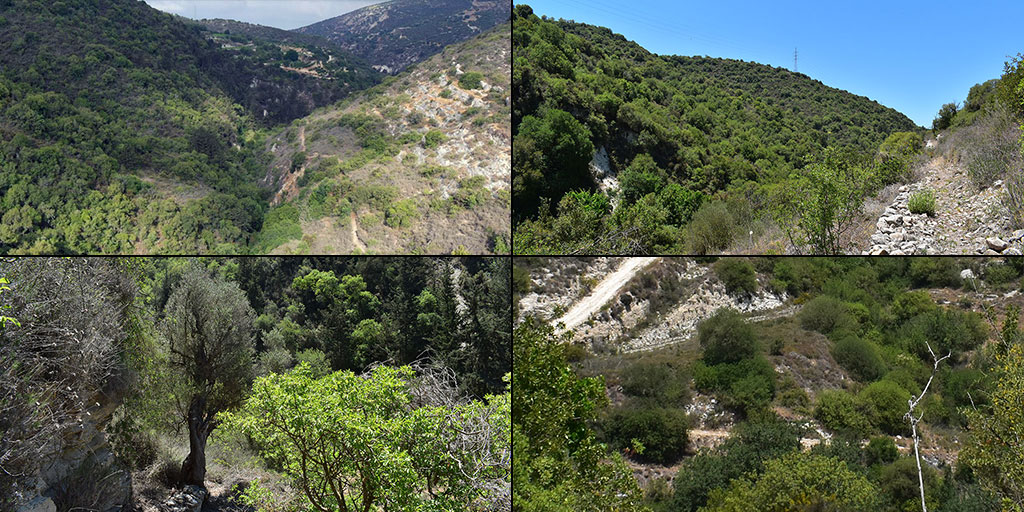 Finding Prodromos Monastery