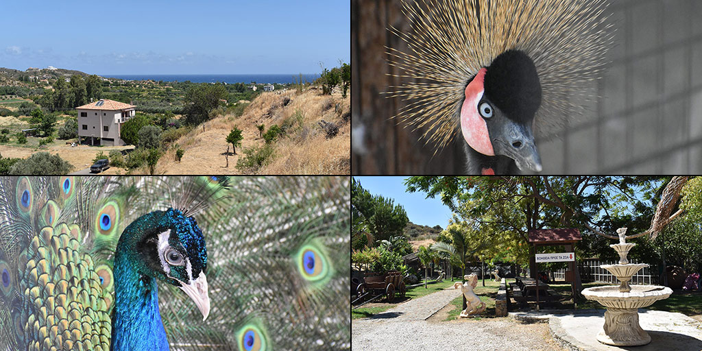 Kato Pyrgos Bird Park