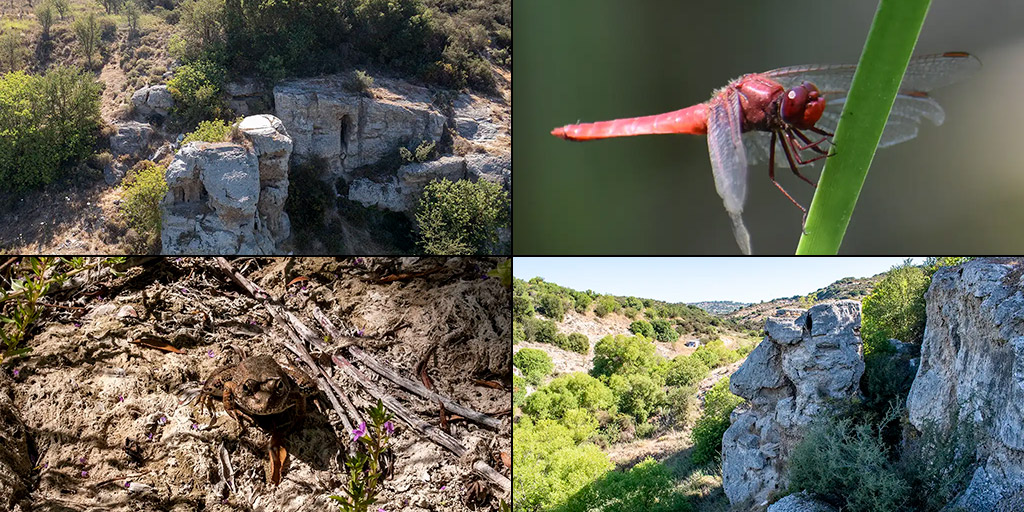 Polemi Rocks! (and pond)