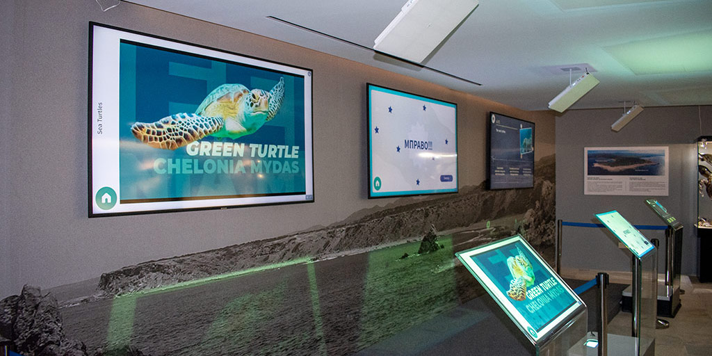 Ineia Turtle Museum Page 2