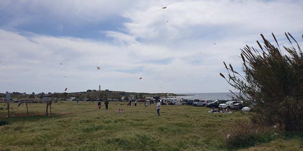 Paphos Celebrates Green Monday